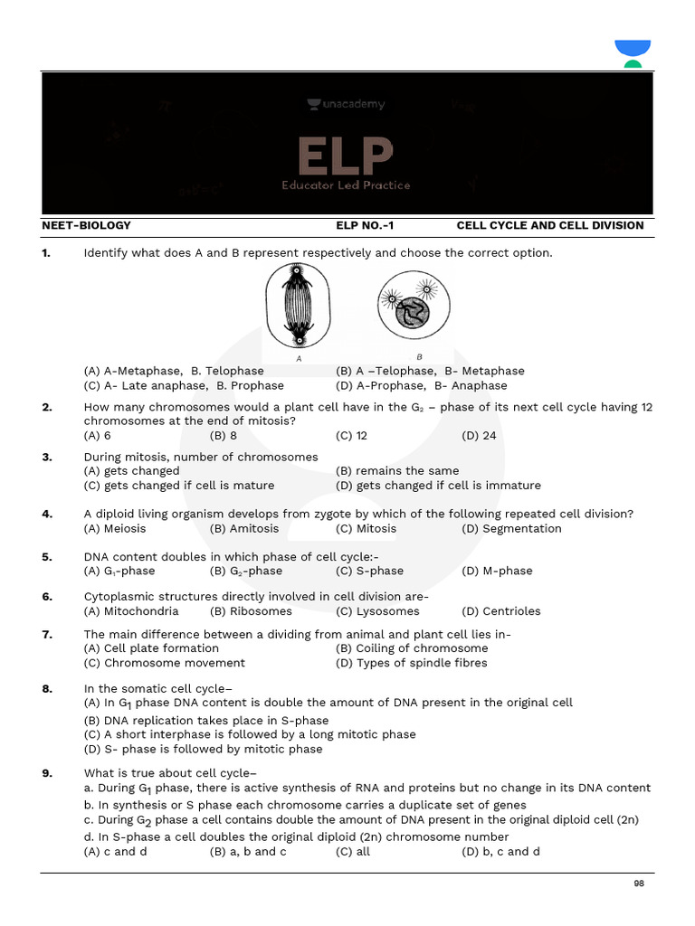 NEET Biology: Cell Cycle & Division Quiz | PDF | Mitosis | Meiosis