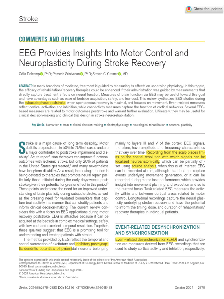 Delcamp-2024-EEG Provides Insights Into Motor | PDF | Cerebral Cortex ...