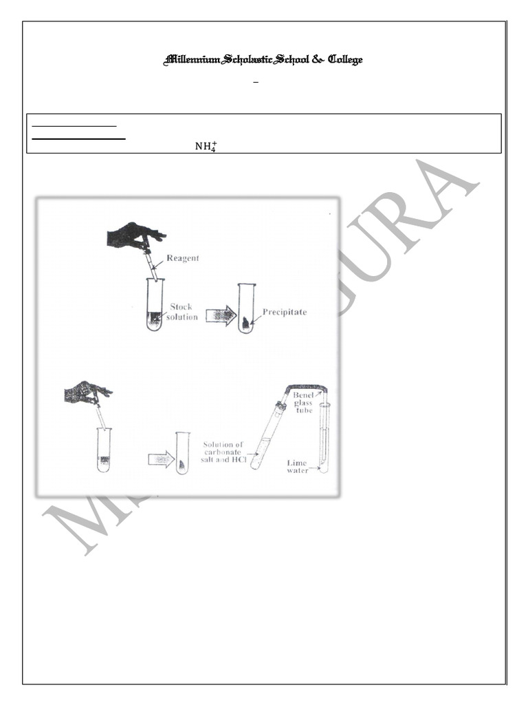 Wet Test for Ion Identification in Chemistry | PDF | Vinegar | Sodium ...