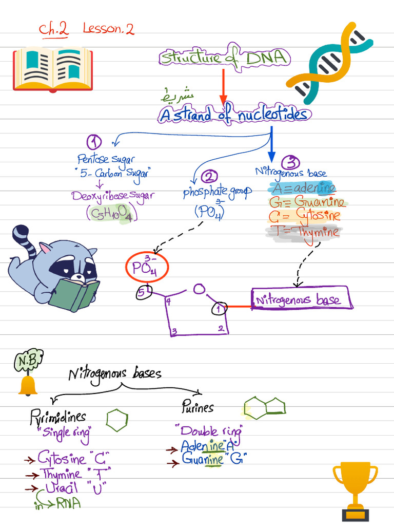 Notes On Ch.5.L.3 | PDF