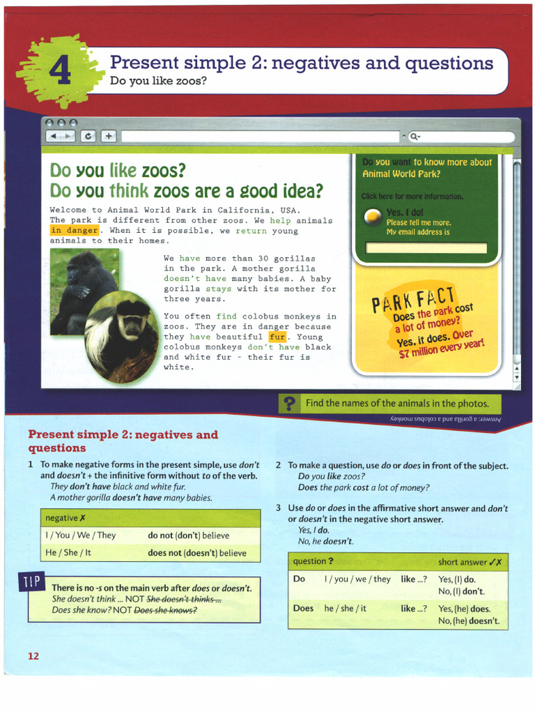 Present Simple Negative-Positive | PDF