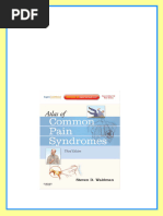 Hit 6 PDF | PDF | Headache | Migraine