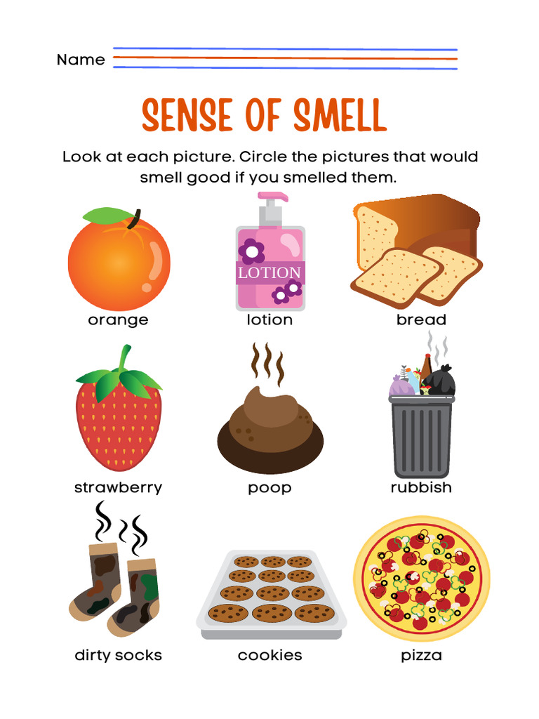 Activity Sheets Sense of Smell | PDF