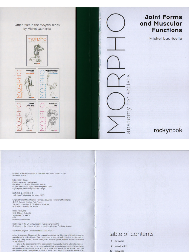 Lauricella Michel Morpho Joint Forms and Muscular Functions | PDF