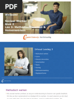 BPSW Beroepscode 2021 | PDF