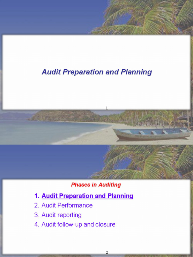 Audit Preparation and Planning | PDF