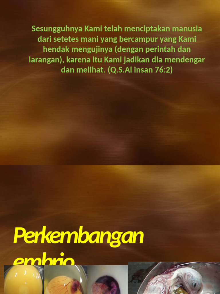 Perkembangan Embrio Telur Ayam | PDF