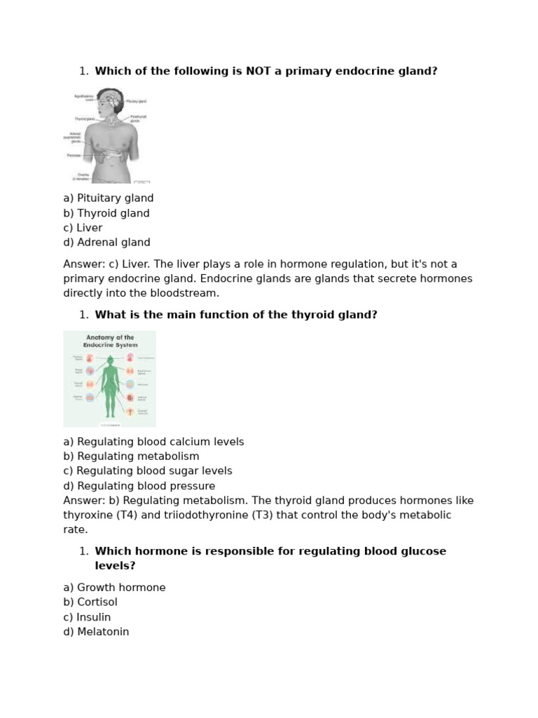 Endocrine Glands and Their Functions | PDF | Endocrine System | Hormone