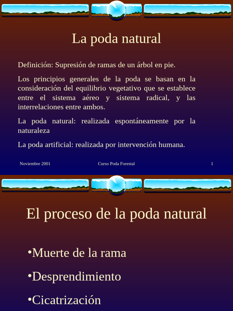 La Poda Natural | PDF | Poda | Los bosques