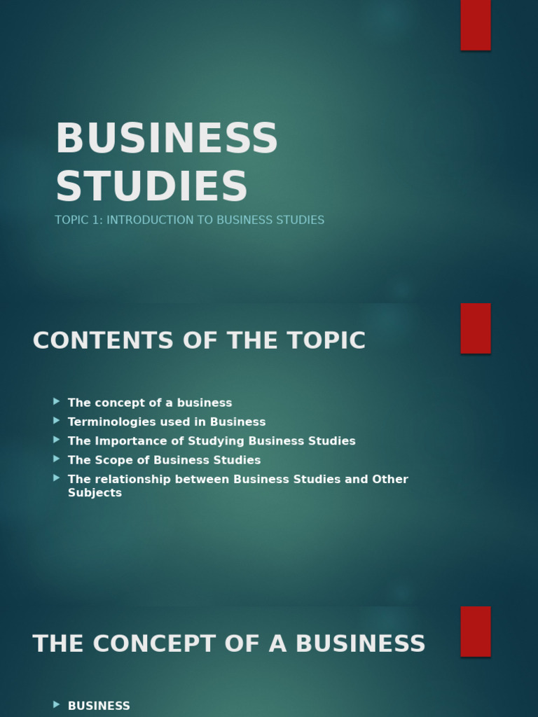 Bs Introduction To Business Studies | PDF | Goods | Entrepreneurship