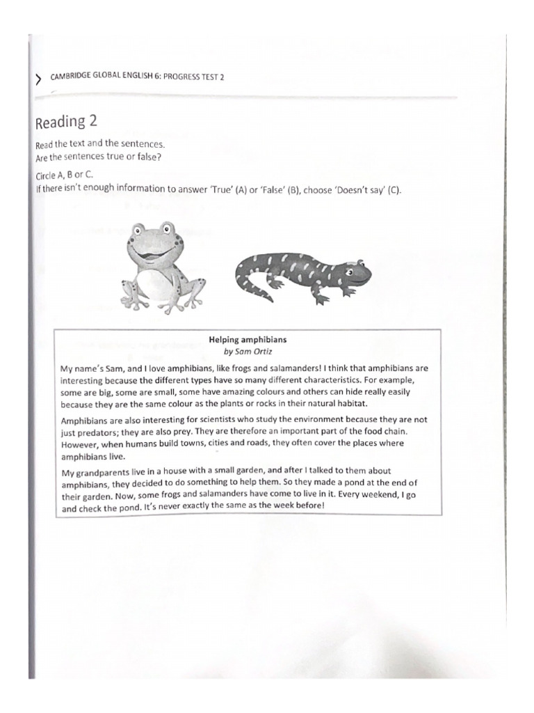 Global 6-Progress Test 2 | PDF