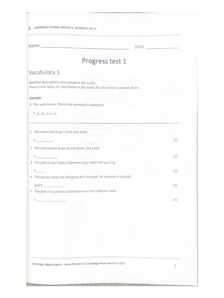 Global 6 - Progress Test 1 | PDF