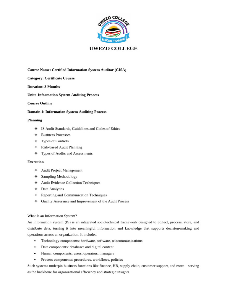 Information System Auditing Process | PDF | Audit | Internal Control