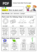 Grade 1 Exam Sample Questions | PDF