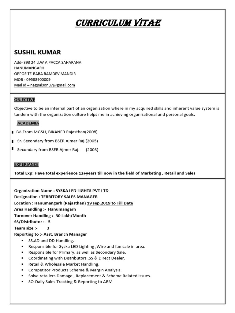 Sushil Kumar - Marketing CV | PDF | Business