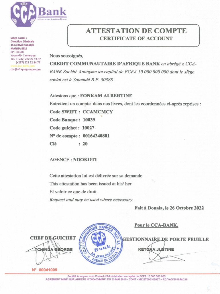 Releves CCA Bank | PDF