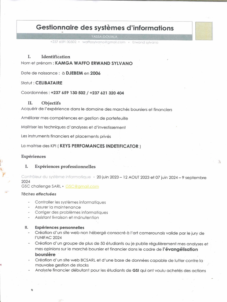 Curriculum Vitae 2 | PDF