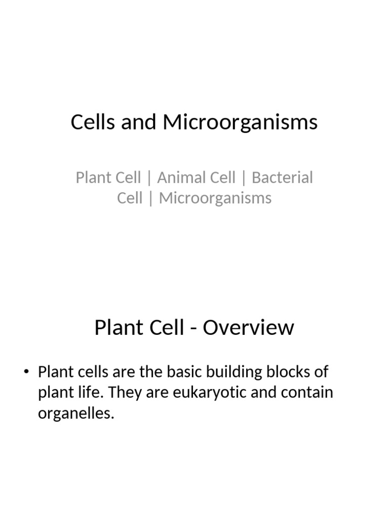 Overview of Cell Types and Microorganisms | PDF | Cell (Biology) | Bacteria