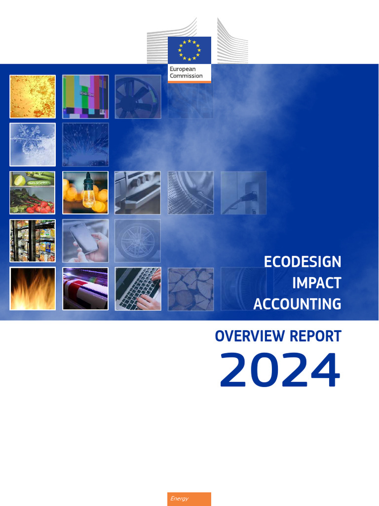 2024 EIA IV Overview Report | PDF | Environmental Impact Assessment | Efficient Energy Use
