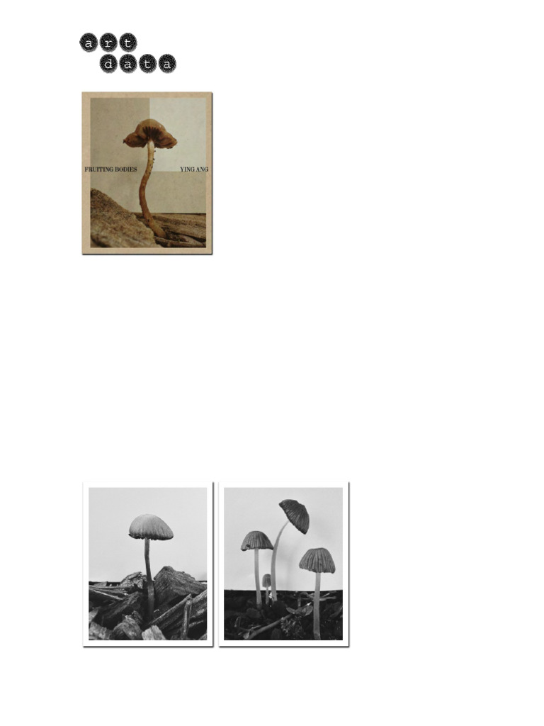 Ying Ang - Fruiting Bodies | PDF