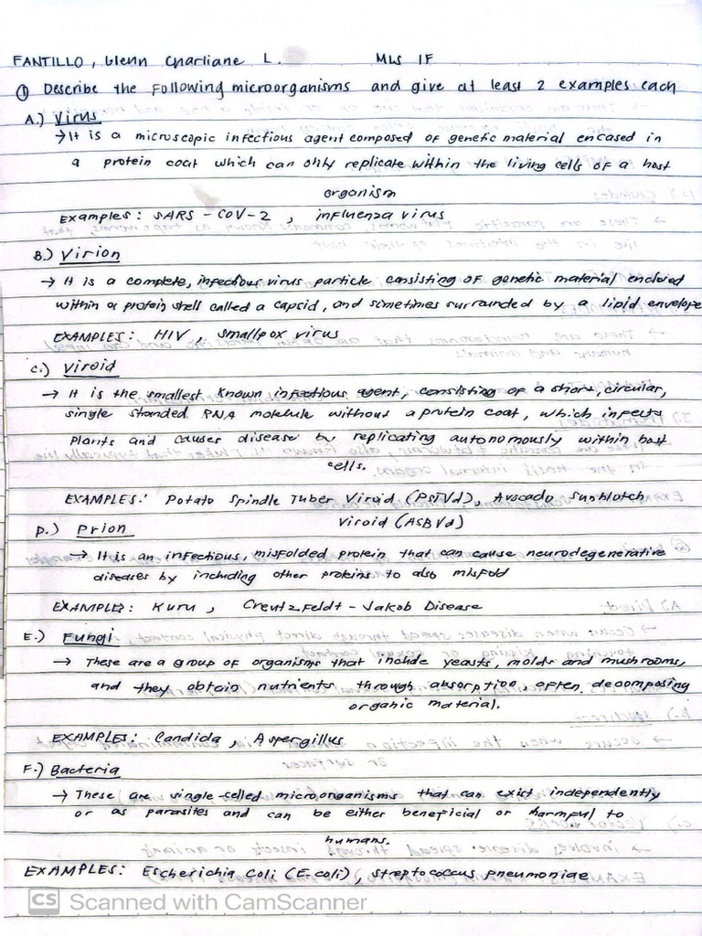Fantillo GlennCharlianeHWmidterms | PDF