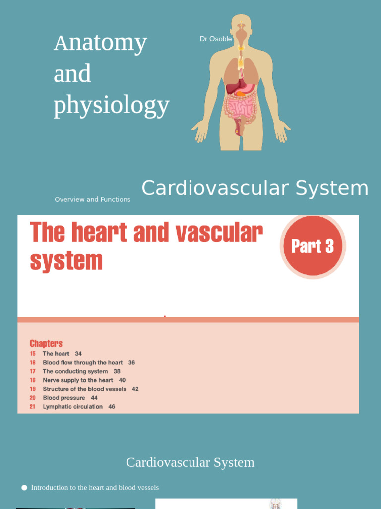 1 The Heart and Blood Vessels | PDF | Heart | Heart Valve