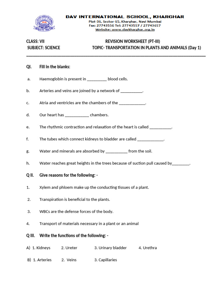 Revision Worksheet 1 Pt3 Transportation in Plants | PDF | Human Body | Blood