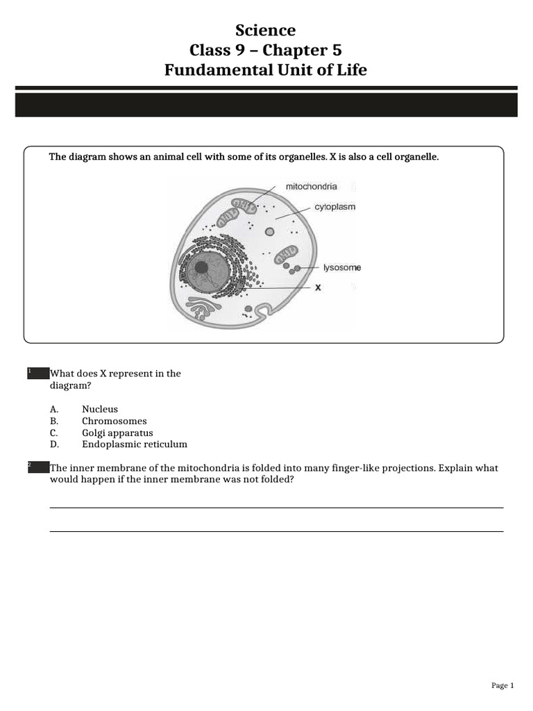 Science Class 9 HHW | PDF | Cell (Biology) | Cell Membrane