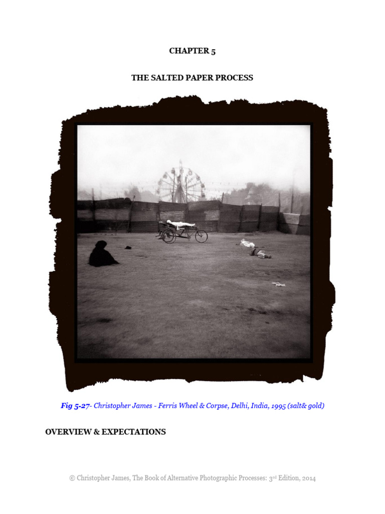 Chapter 5 Salted Paper Process | PDF | Silver | Salt
