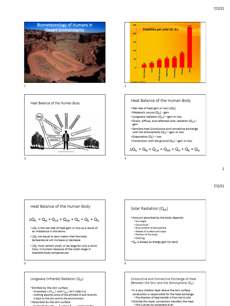 Human Body Thermal Balance in Deserts | PDF | Heat Transfer | Heat