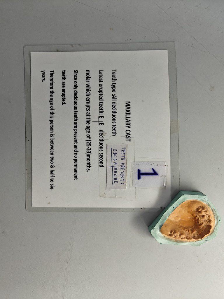 Cast Identification | PDF