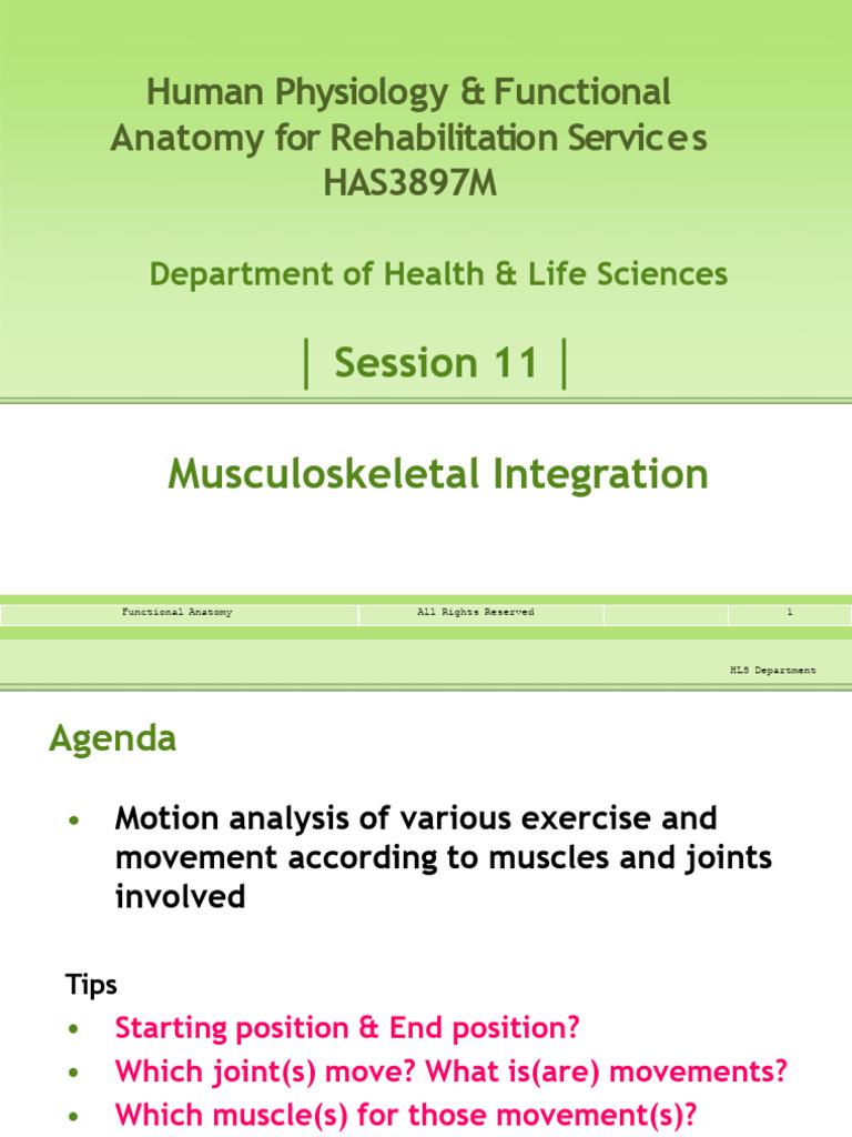 AY2223 Anatomy L11 MS Integration | PDF | Anatomical Terms Of Motion ...