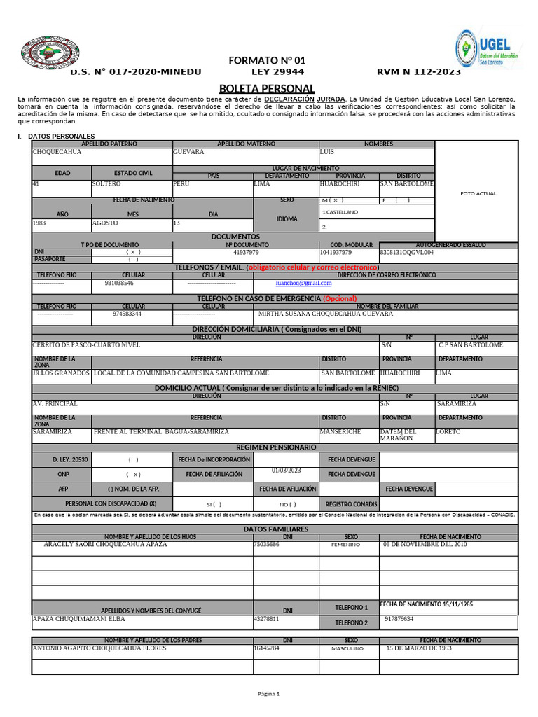Formato de Declaración Jurada Personal | PDF