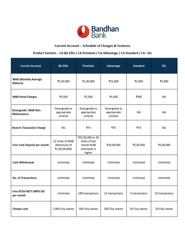 Current Account Charges & Features | PDF | Transaction Account | Debit Card