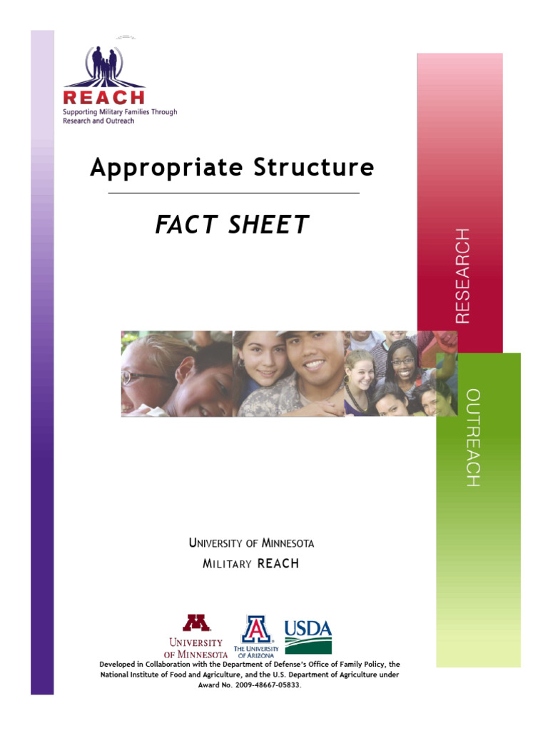 Youth Development Program Structure | PDF | Youth | Adolescence