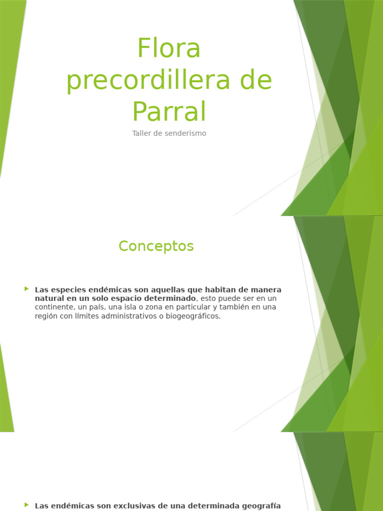 Flora Precordillera de Parral | PDF | Arboles | Botánica
