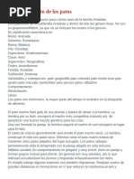 Anatomía y fisiología del pato | PDF | Pato | Domesticación