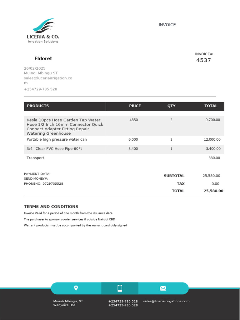 White and Teal Minimalist Business Invoice | PDF