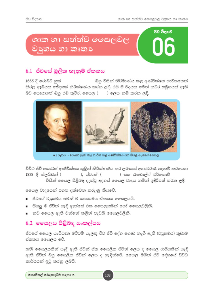 SG10 Sci Chapter 06 | PDF