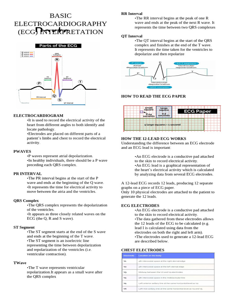 Basic Electrocardiography | PDF | Electrocardiography | Cardiovascular System