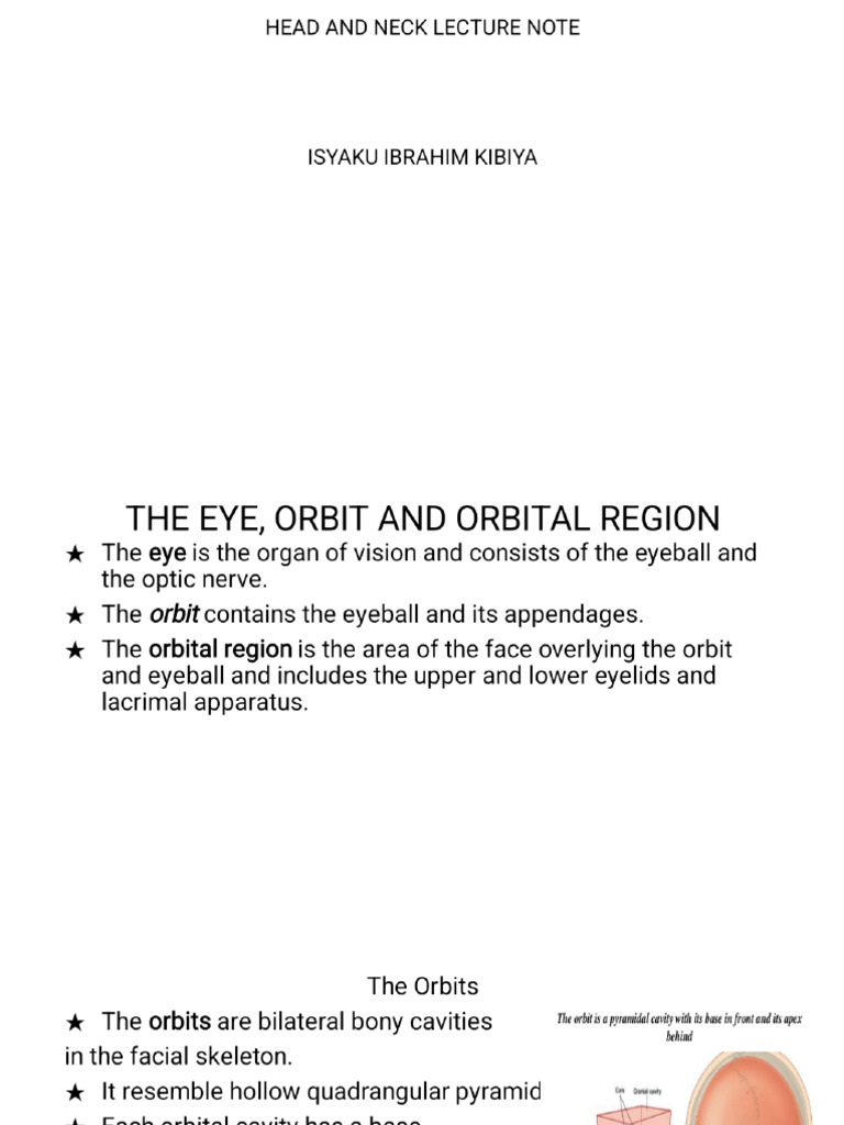 Anatomy of Eye and Mouth | PDF