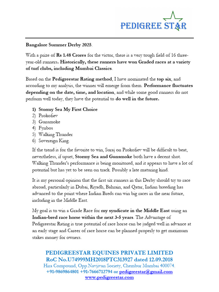 BNG Derby 2025 | PDF