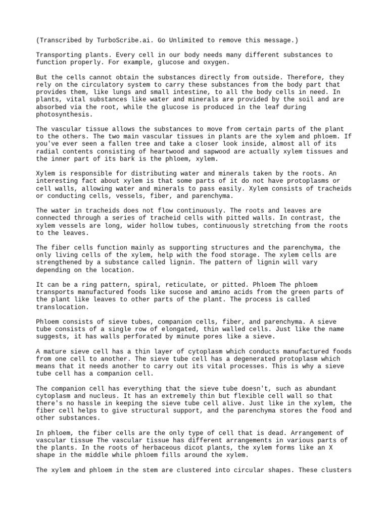 Xylem and Phloem - Transport in Plants | PDF | Tissue (Biology) | Leaf