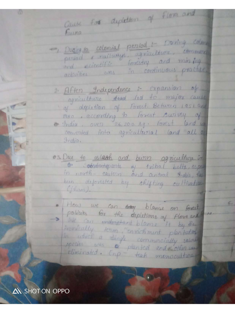 Geography Class 10 | PDF