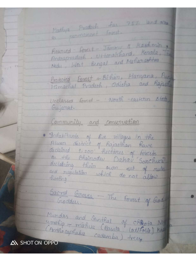 Geography Class 10 | PDF