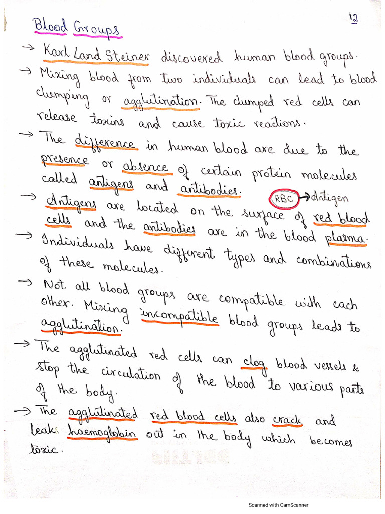 Blood Groups and Lymphatic System | PDF
