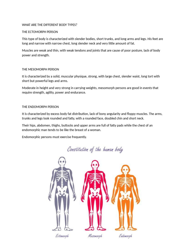 Different Body Types | PDF