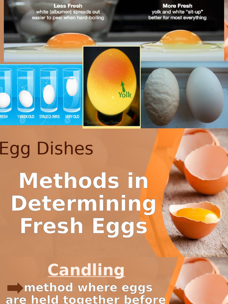 Testing Egg Freshness Methods | PDF
