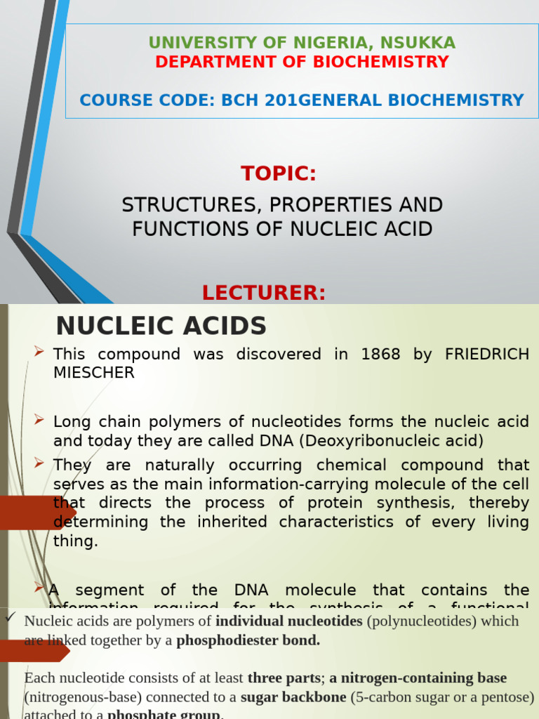Building Blocks of Nucleic Acid | PDF | Nucleotides | Nucleic Acids