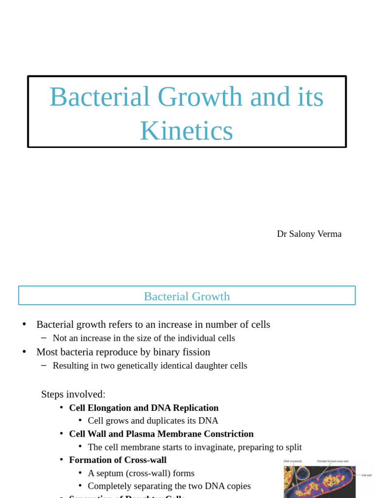 12-11-24 - Bacterial Growth and Its Kinetics - Final | PDF | Bacteria ...